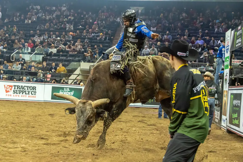 Bushwacker Bull: An Incredible Career In The Rodeo Circuit