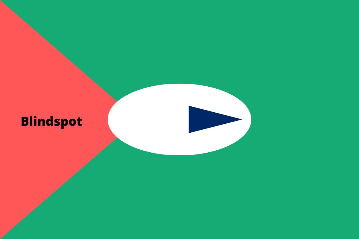 Cow Vision: How Do They Perceive Their World And See At Night?